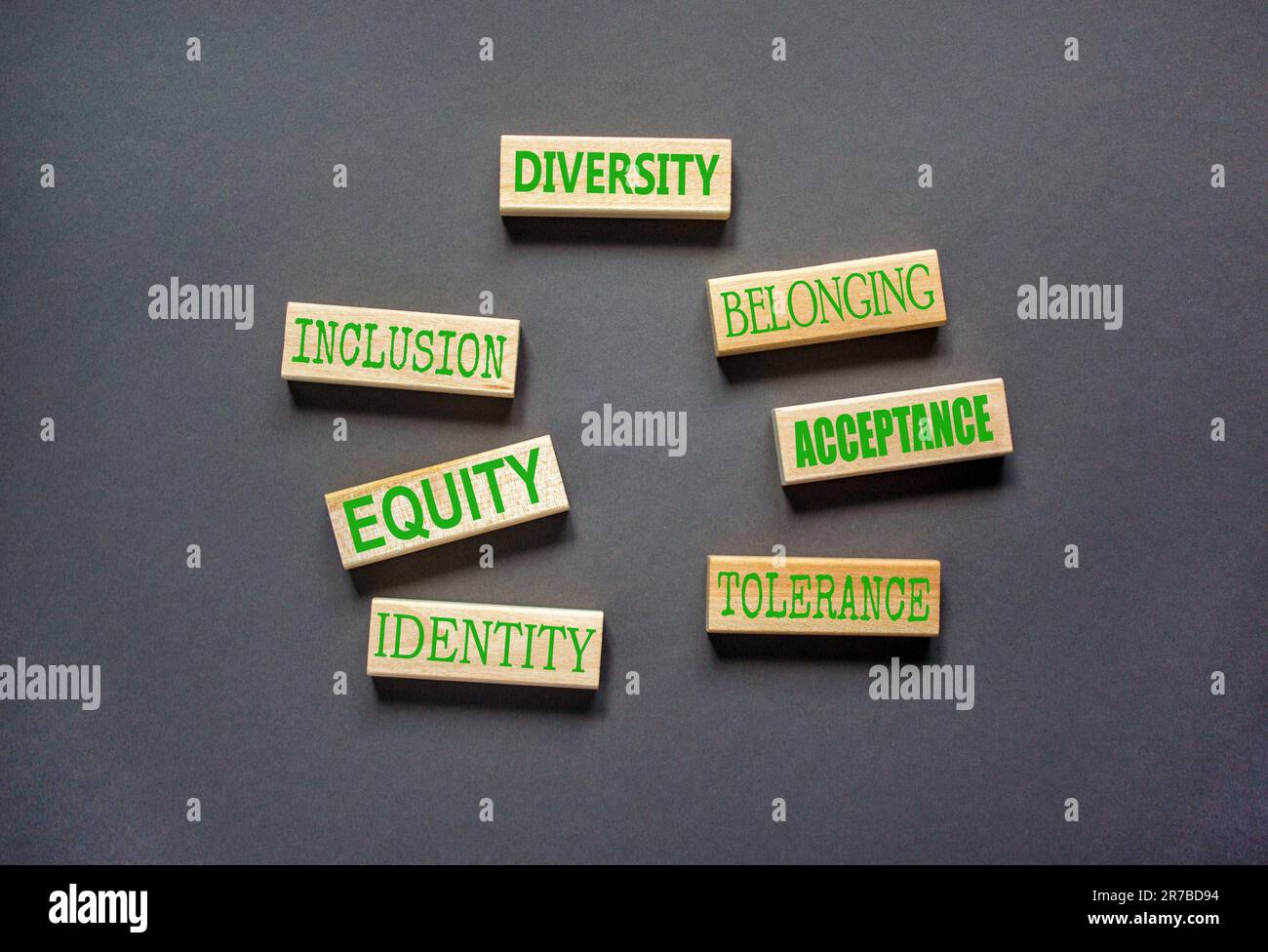 Diversity, inclusion symbol. Diversity belonging inclusion equity ...