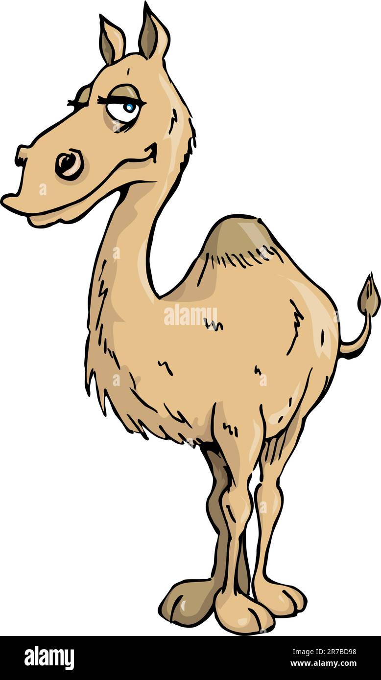 Cartoon smiling one hump Camel isolated on white Stock Vector Image ...