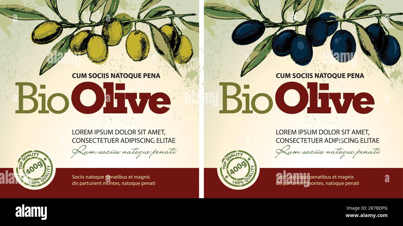 Vector illustration - olive oil labels Stock Vector Image & Art - Alamy