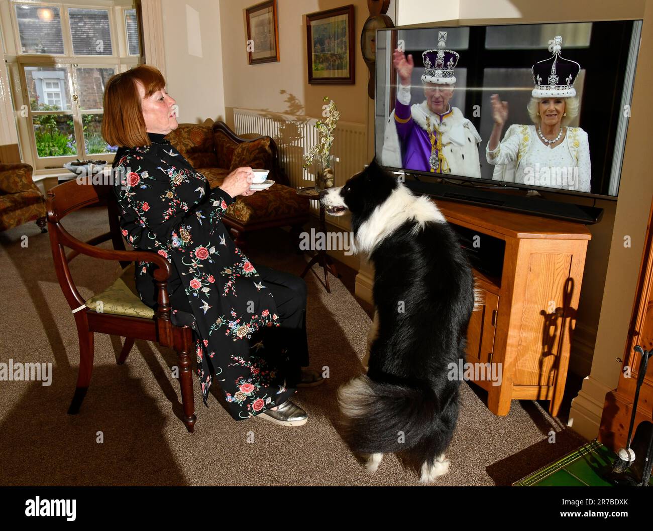 Woman watching the coronation of King Charles III on television Stock ...