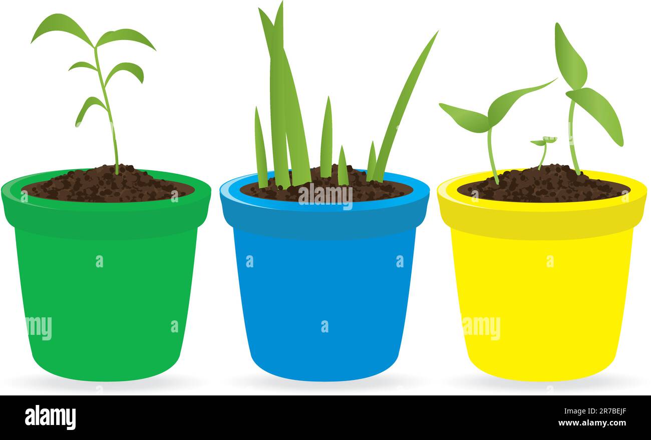 Potted seedling. Vector illustration for you design Stock Vector Image ...