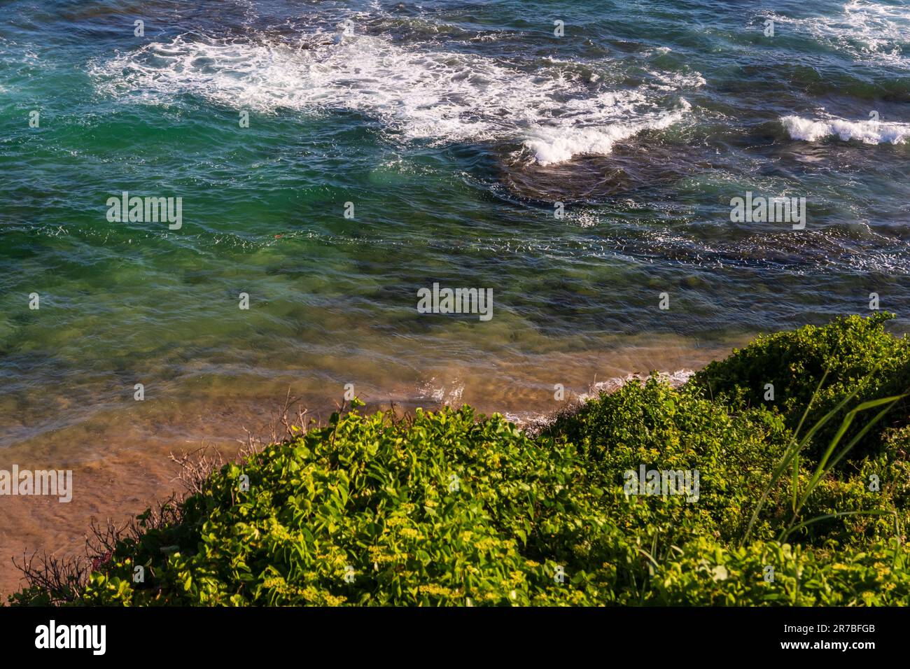 A tranquil beach featuring a bright emerald green shoreline edged by a ...