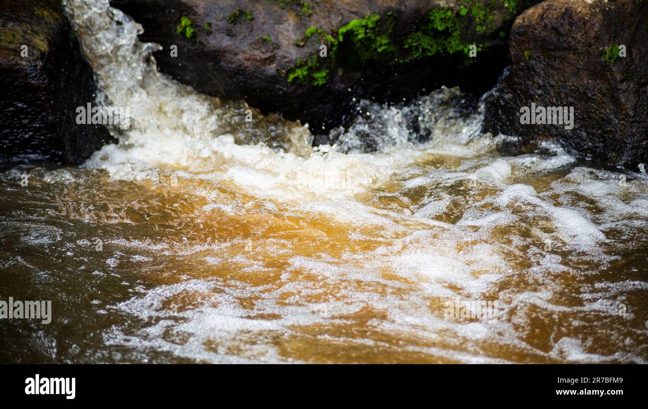 A tranquil creek with clear running water cascading over the smooth ...