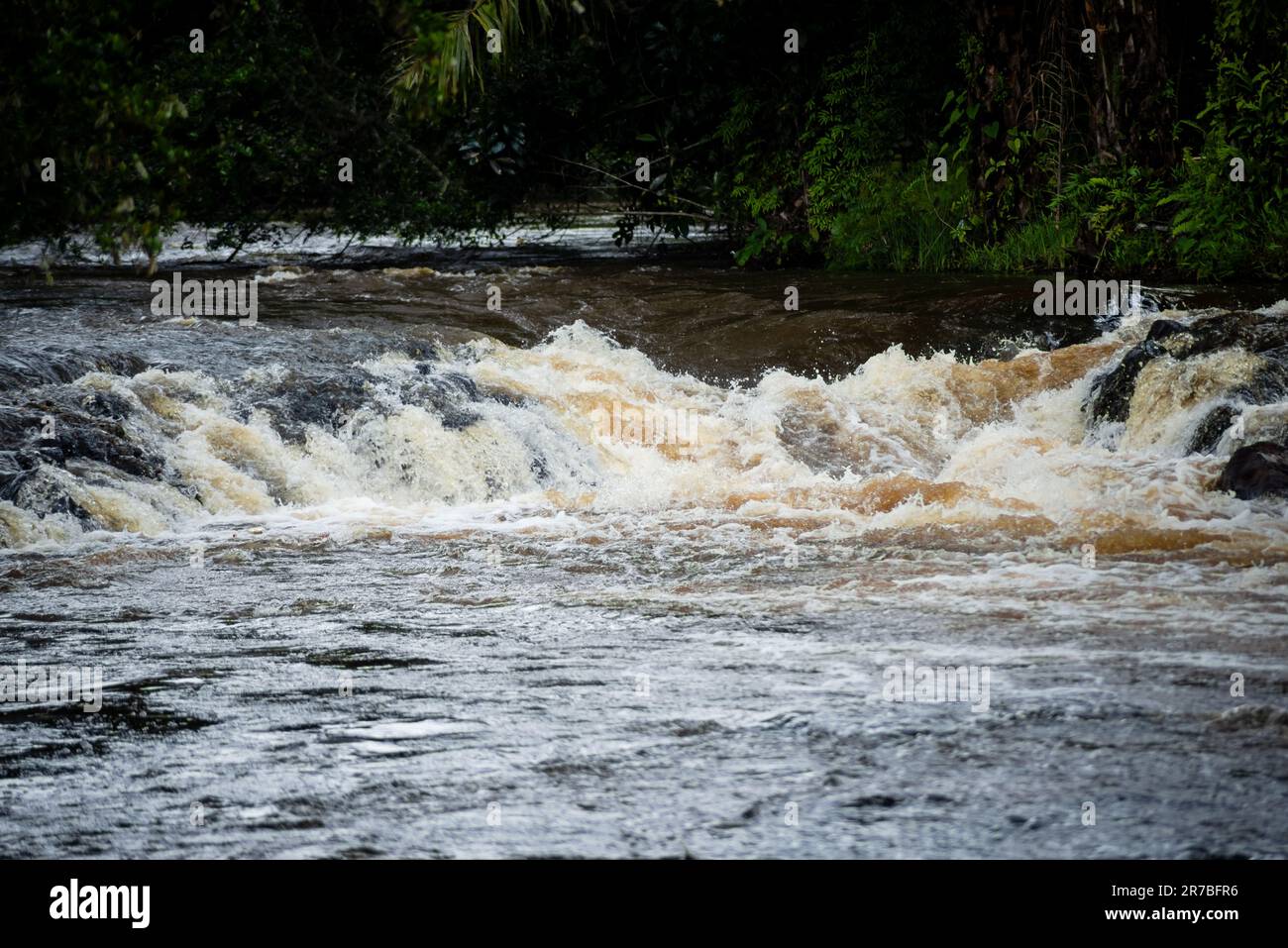 Woodlandscape hi-res stock photography and images - Alamy