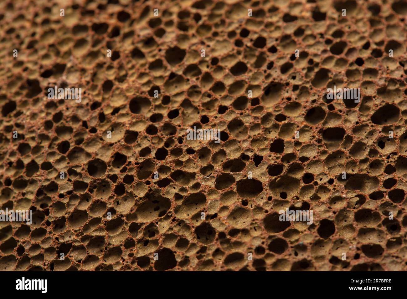 Closeup rock erosion holes sea wall Stock Photo - Alamy