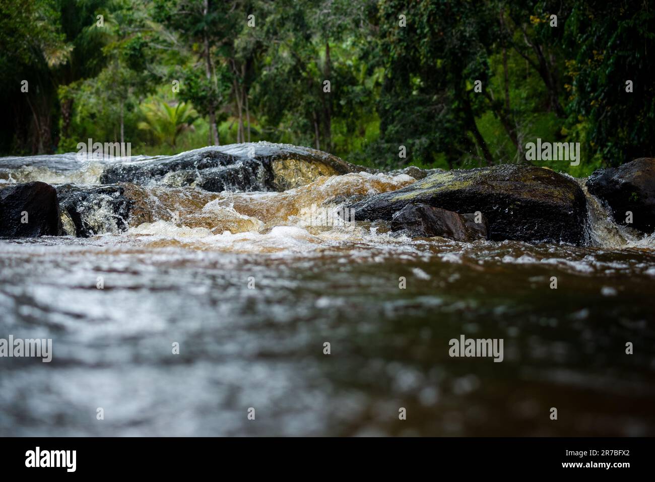 A scenic view of a stream with crystal-clear water cascading and ...