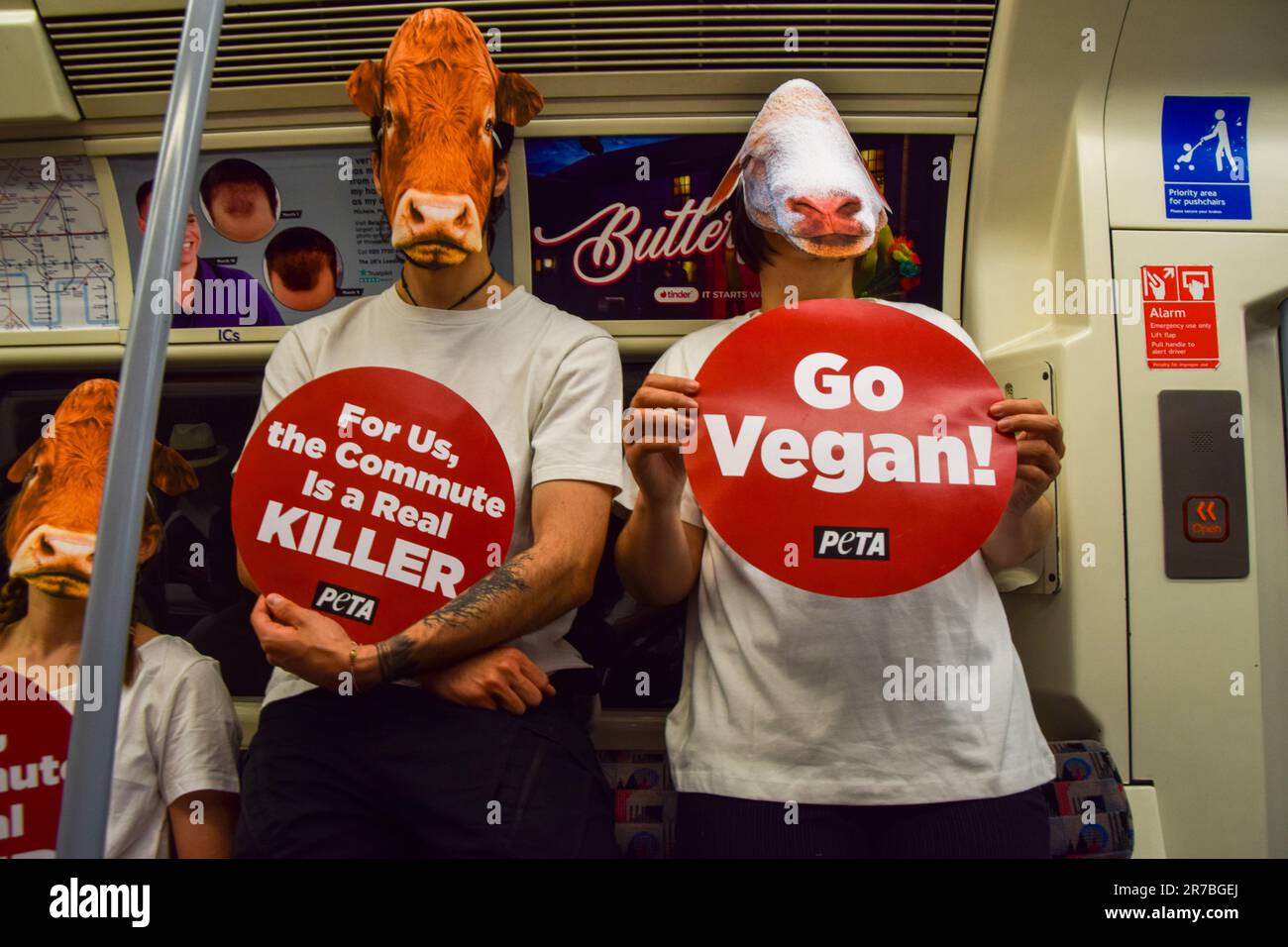 London, England, UK. 14th June, 2023. PETA activists wearing sheep and ...
