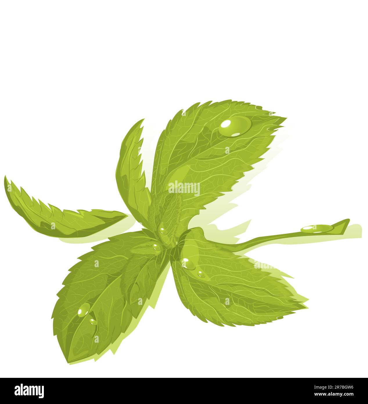 Individual leaves Stock Vector Images - Alamy