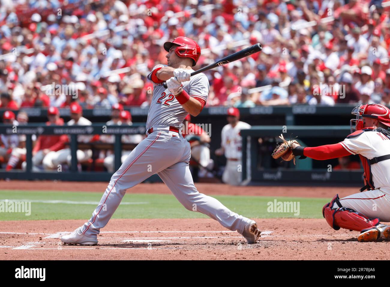 ST. LOUIS, MO - JUNE 10: Cincinnati Reds catcher Luke Maile (22) bats ...