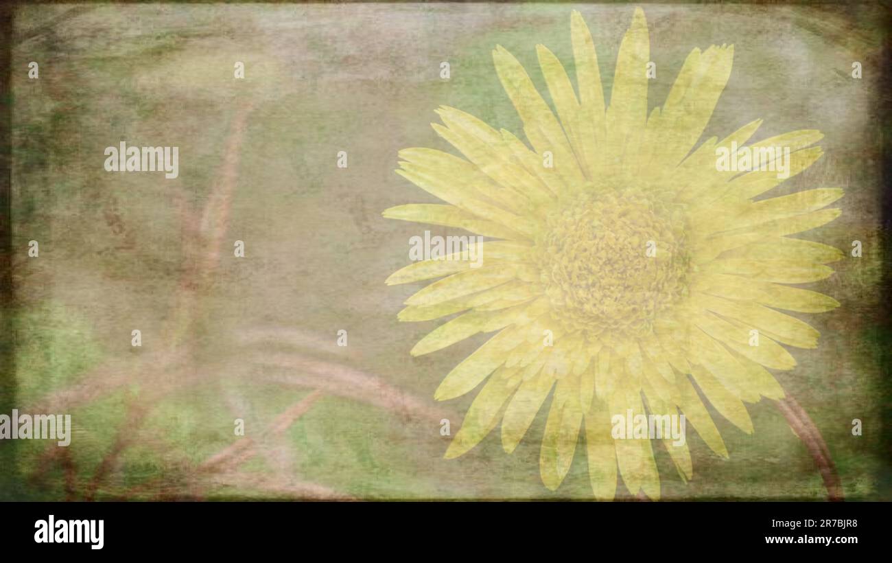 graphic resources background template of flowers in bloom Stock Photo ...