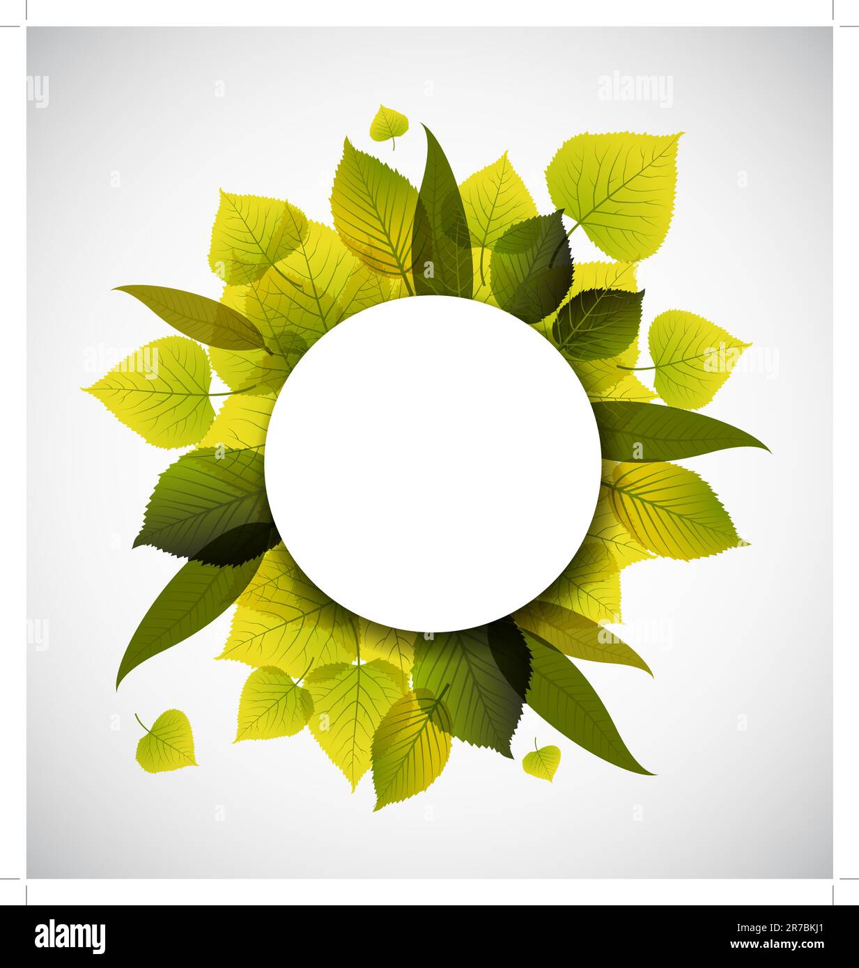 Spring leafs abstract background with place for your text Stock Vector ...