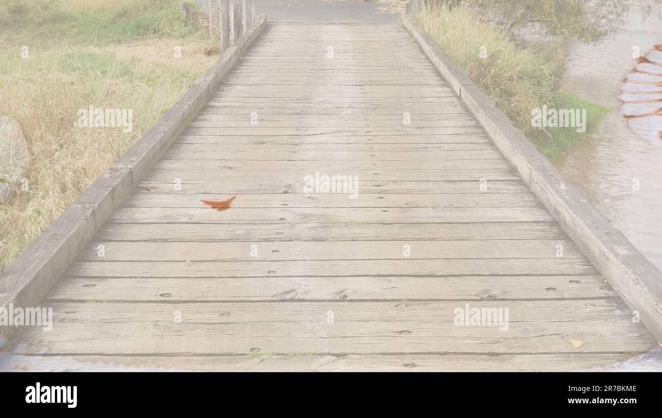 Background graphic resources template of wooden boardwalk walking path ...