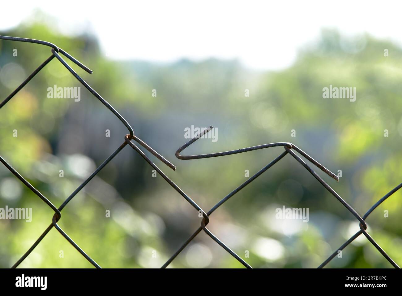 Steel wire mesh fence on a blurred background, free area for text ...