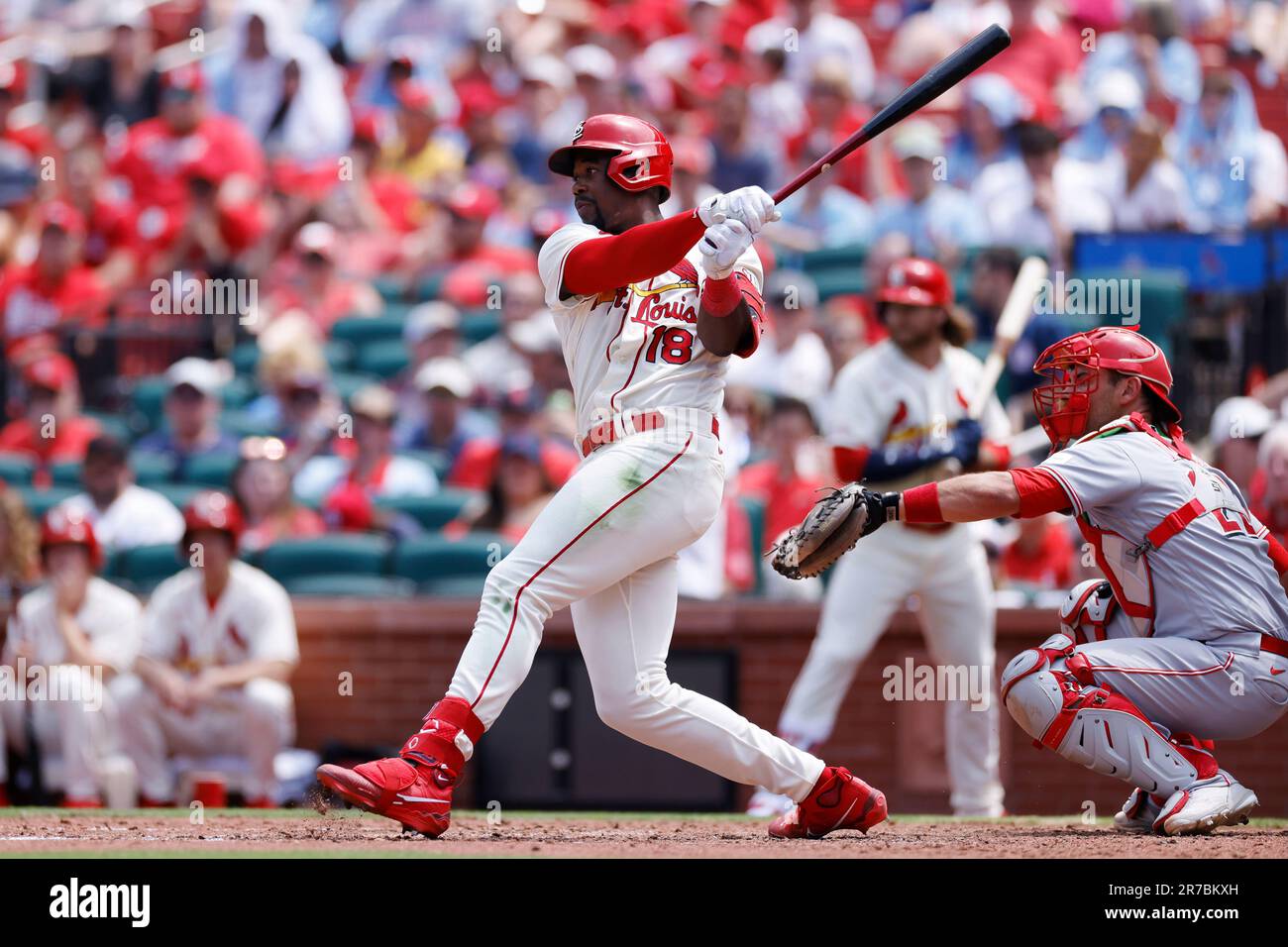 ST. LOUIS, MO - JUNE 10: St. Louis Cardinals left fielder Jordan Walker ...
