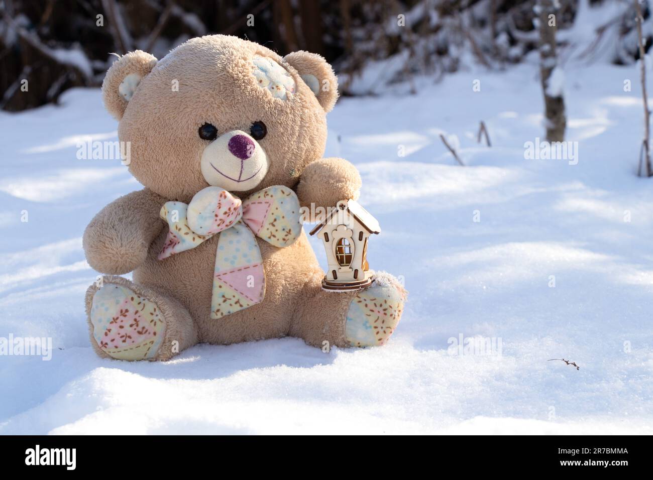 Real teddy bear hi-res stock photography and images - Alamy