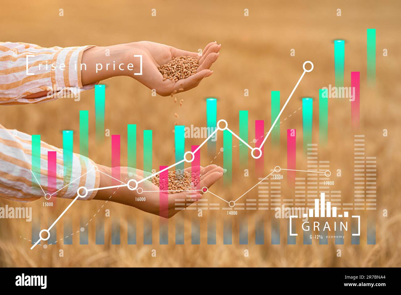 Virtual screen with graphs and male farmer with grains in wheat field ...