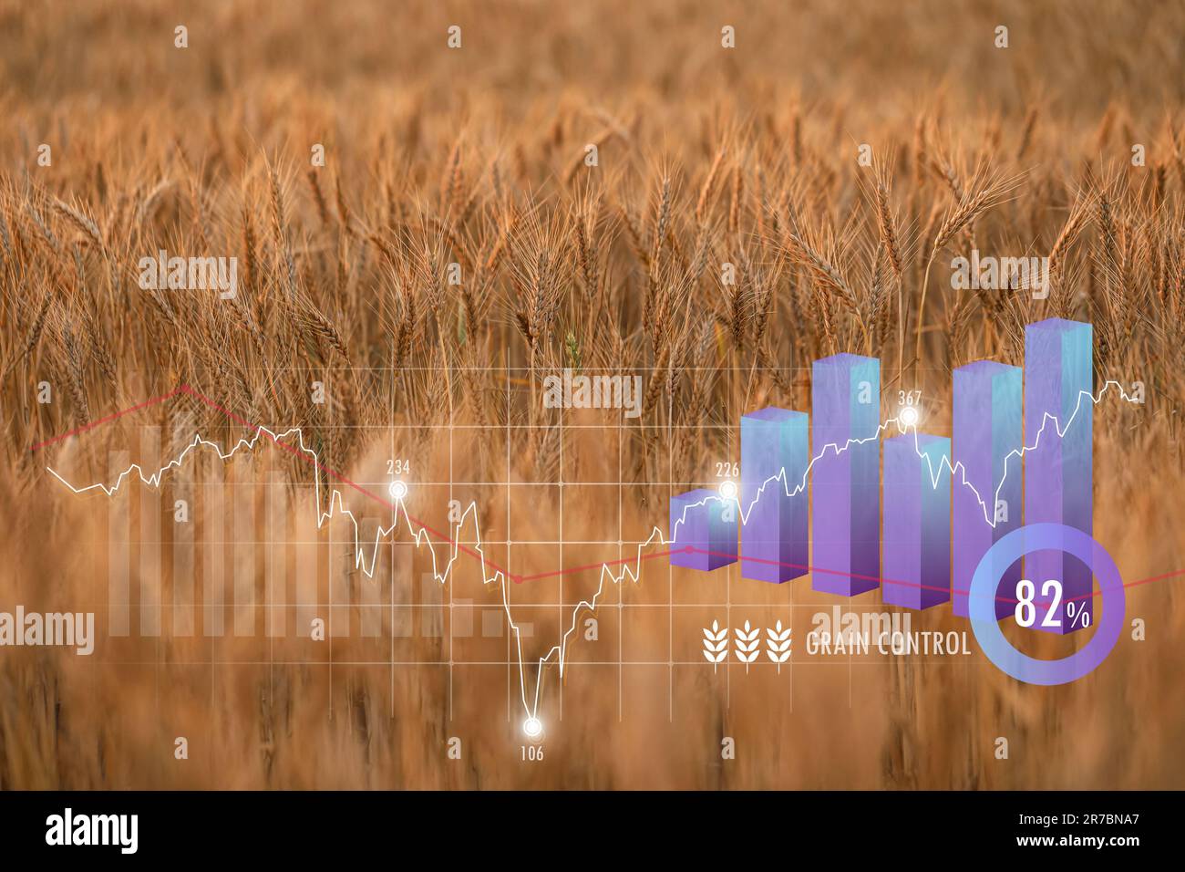 Virtual screen with graphs and in wheat field. Concept of food price ...