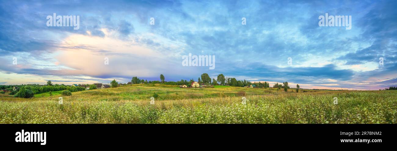 Summer evening in a countryside Stock Photo - Alamy
