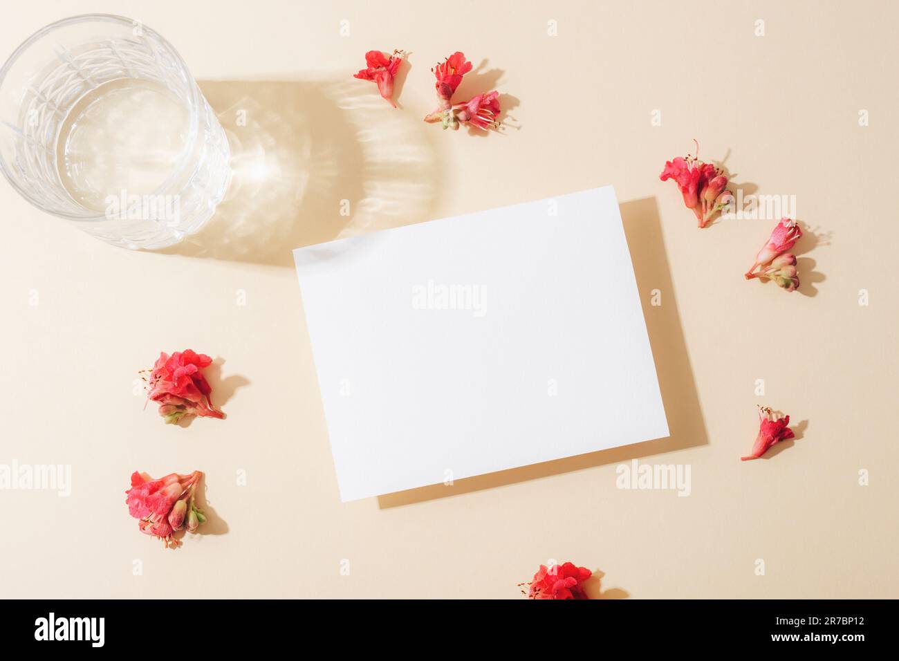 Blank paper card, red horse chestnut flowers and glass of water with ...