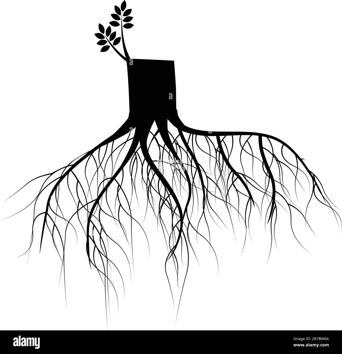 Tree new branch Stock Vector Image & Art - Alamy