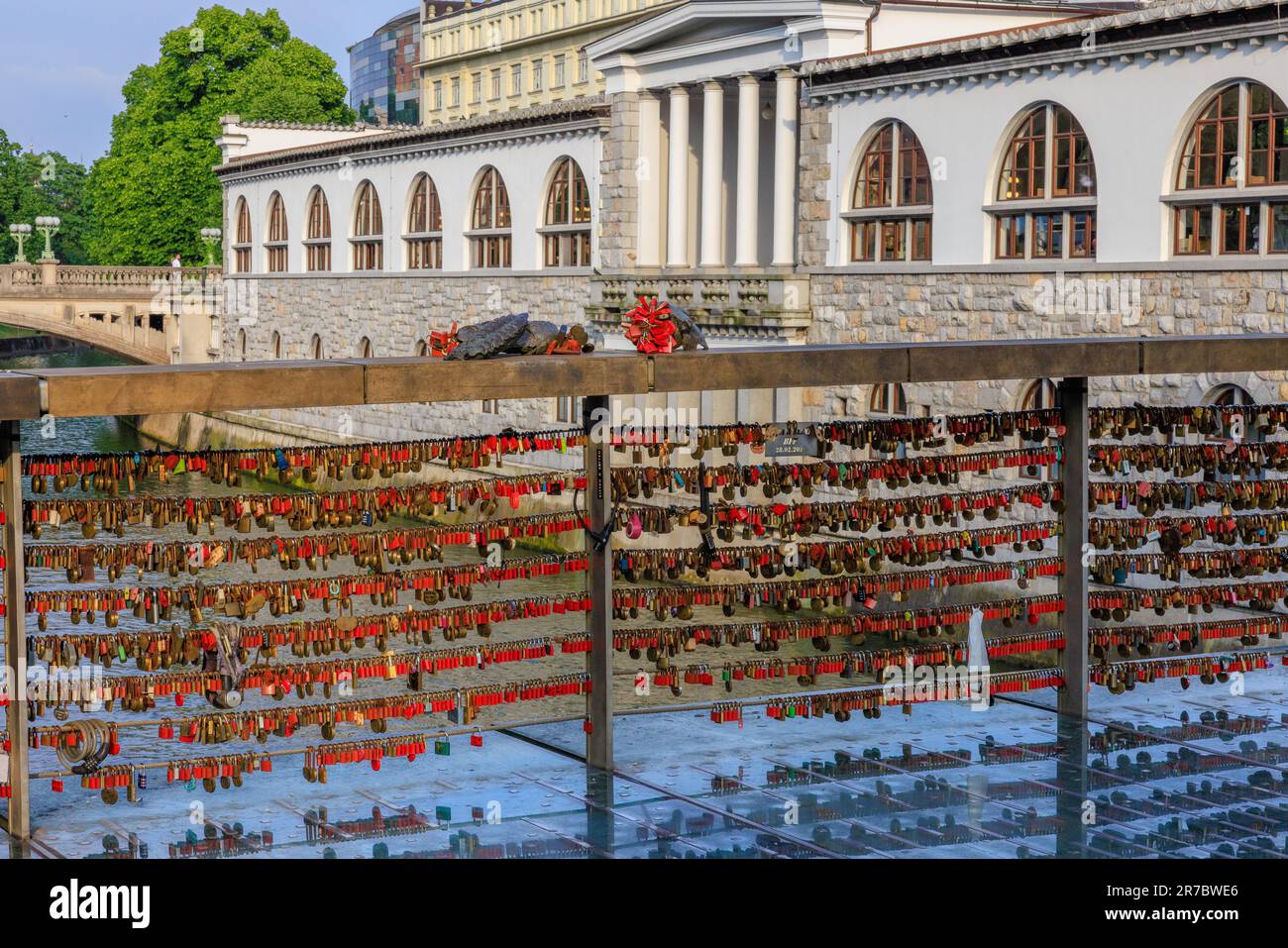 hundreds of red love padlocks hang on the sides of the butchers bridge ...