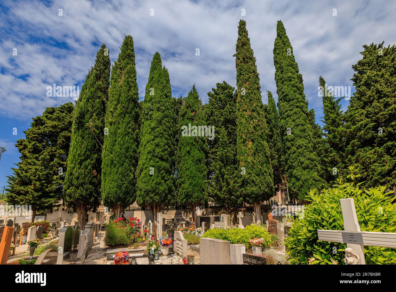 Gravestones memorials hi-res stock photography and images - Alamy