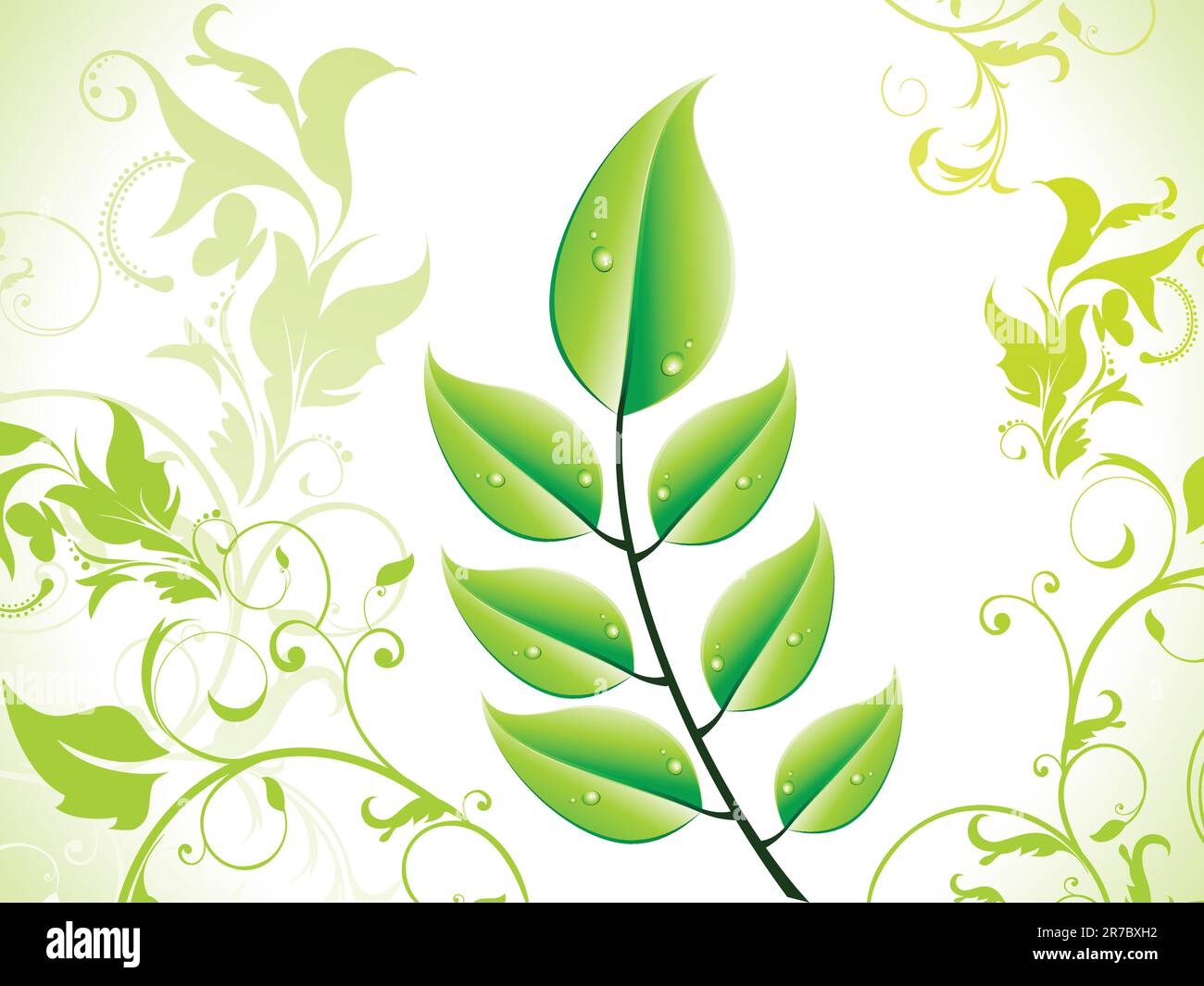 abstract green eco leaf vector illustration Stock Vector Image & Art ...