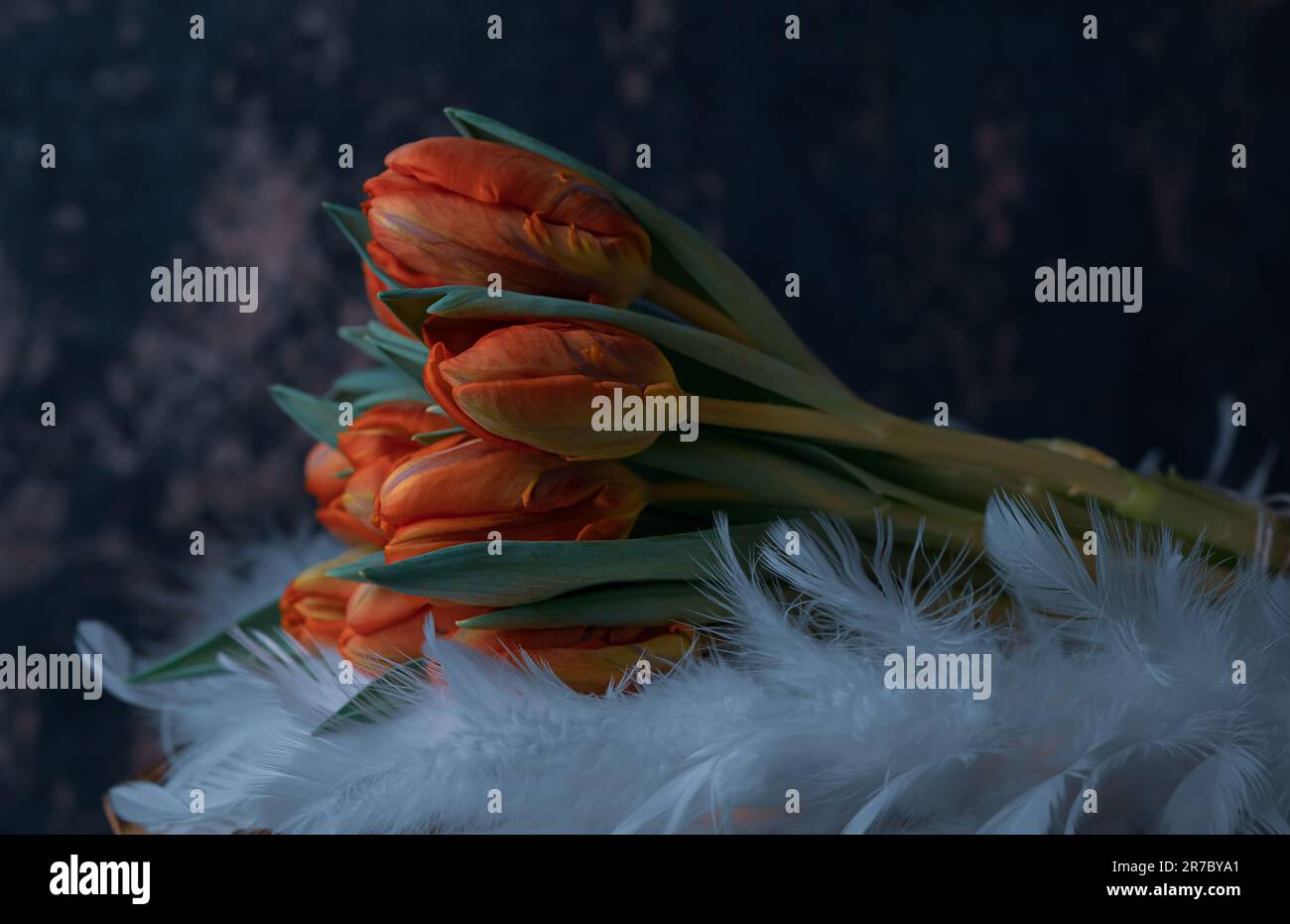 A vibrant close-up photograph of an arrangement of flowers displayed on ...