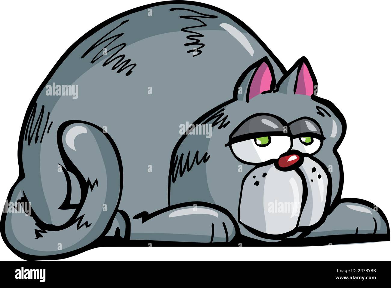Cartoon of fat grey cat. Isolated on white Stock Vector Image & Art - Alamy