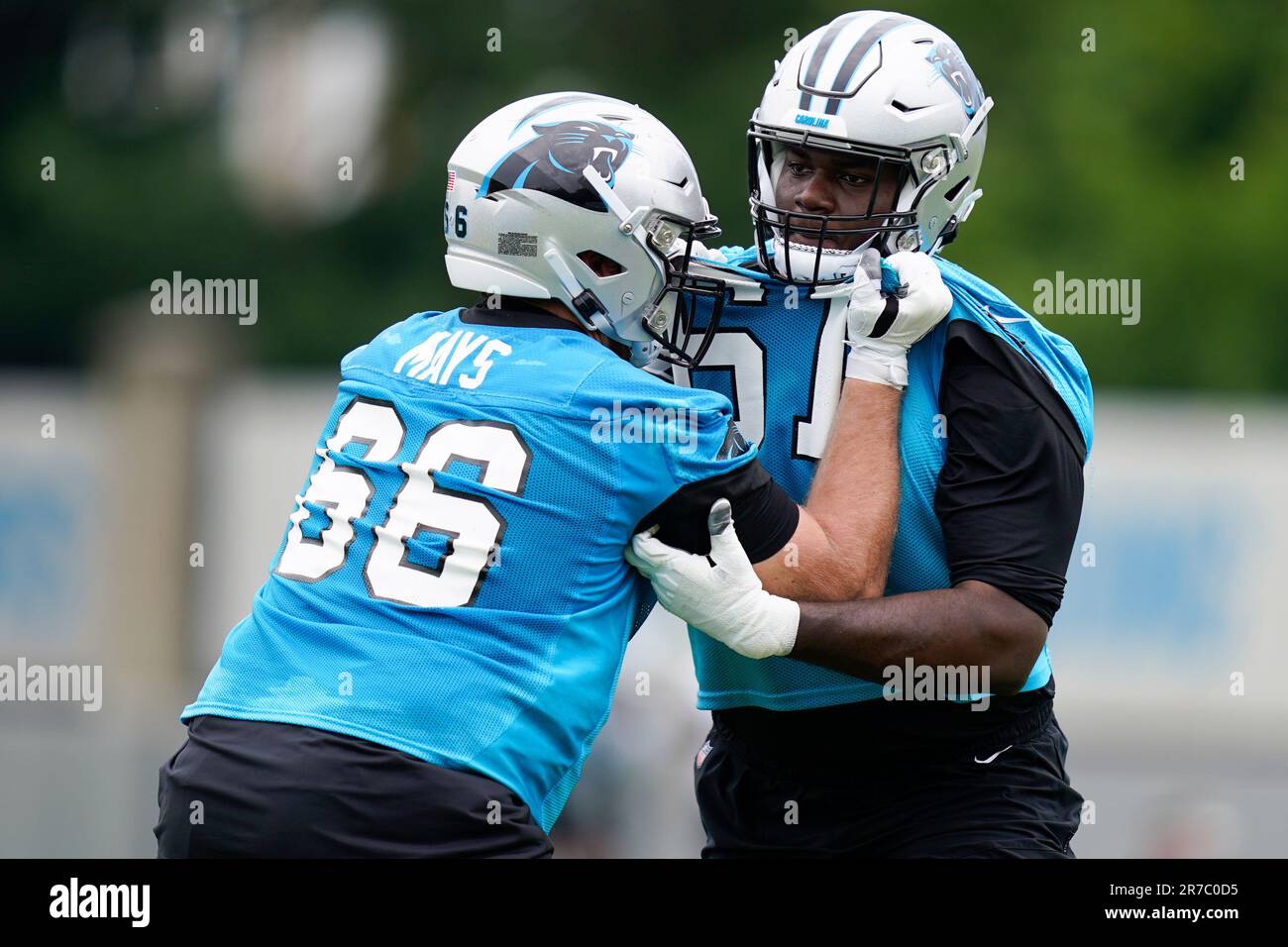 Carolina Panthers guard Cade Mays (66) defends against offensive tackle ...