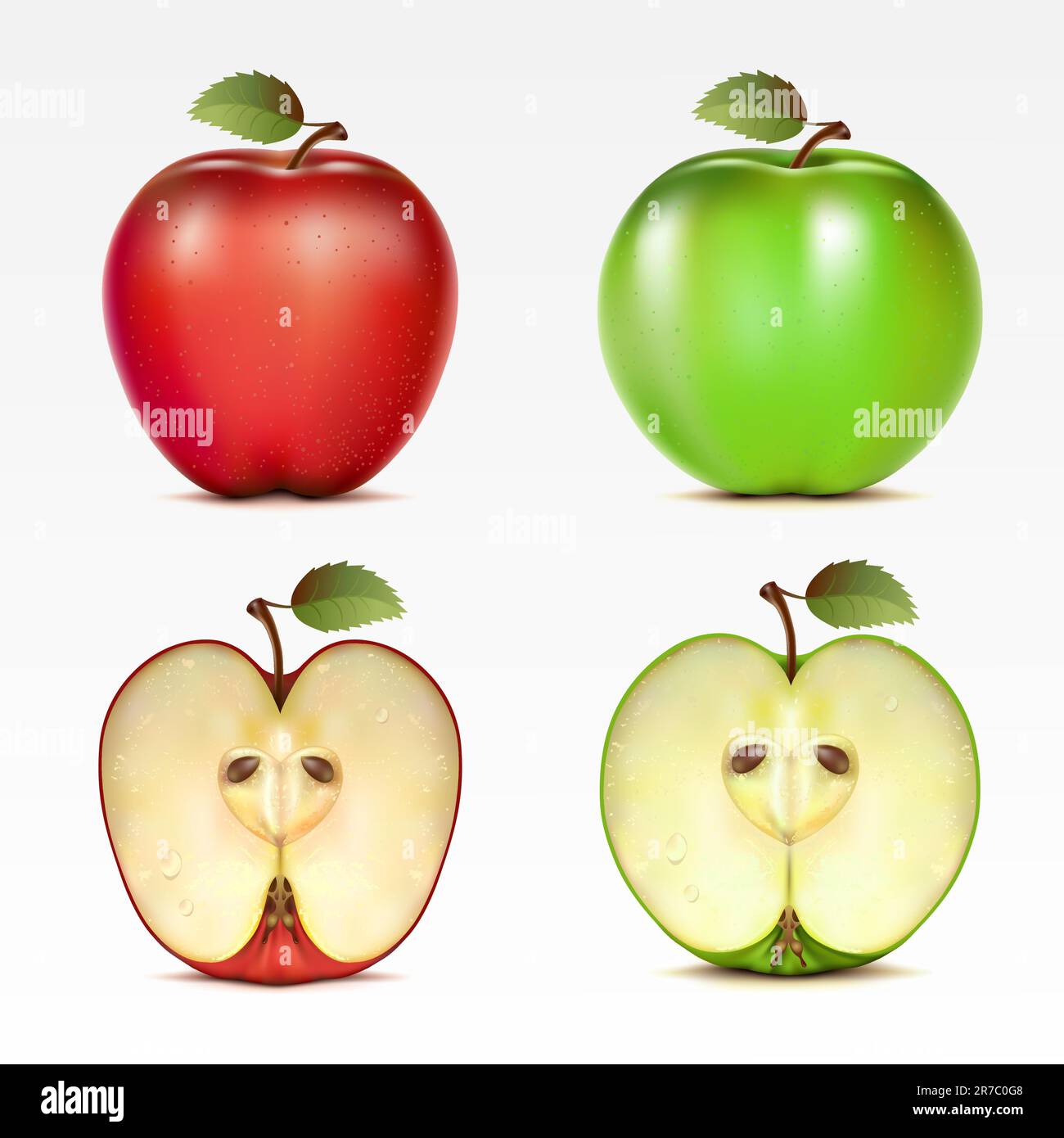 Set of red and green apples and their halves Stock Vector Image & Art - Alamy