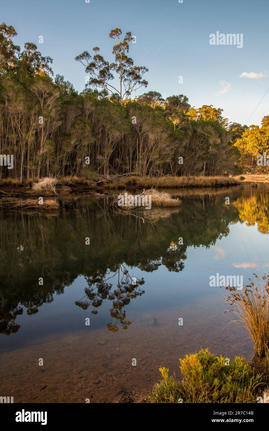 Little gum creek hi-res stock photography and images - Alamy