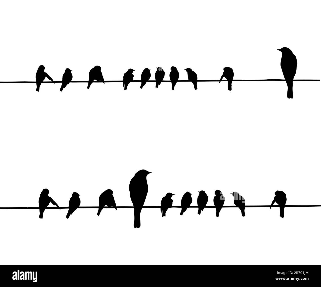 vector silhouettes of the birds on wire Stock Vector Image & Art - Alamy