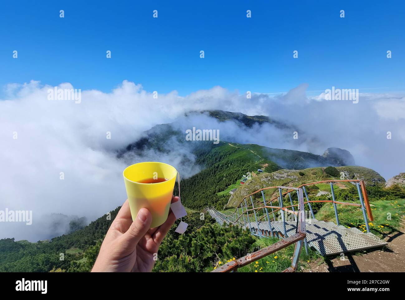cup of tea in Ceahlau mountain landscape, Romania Stock Photo - Alamy