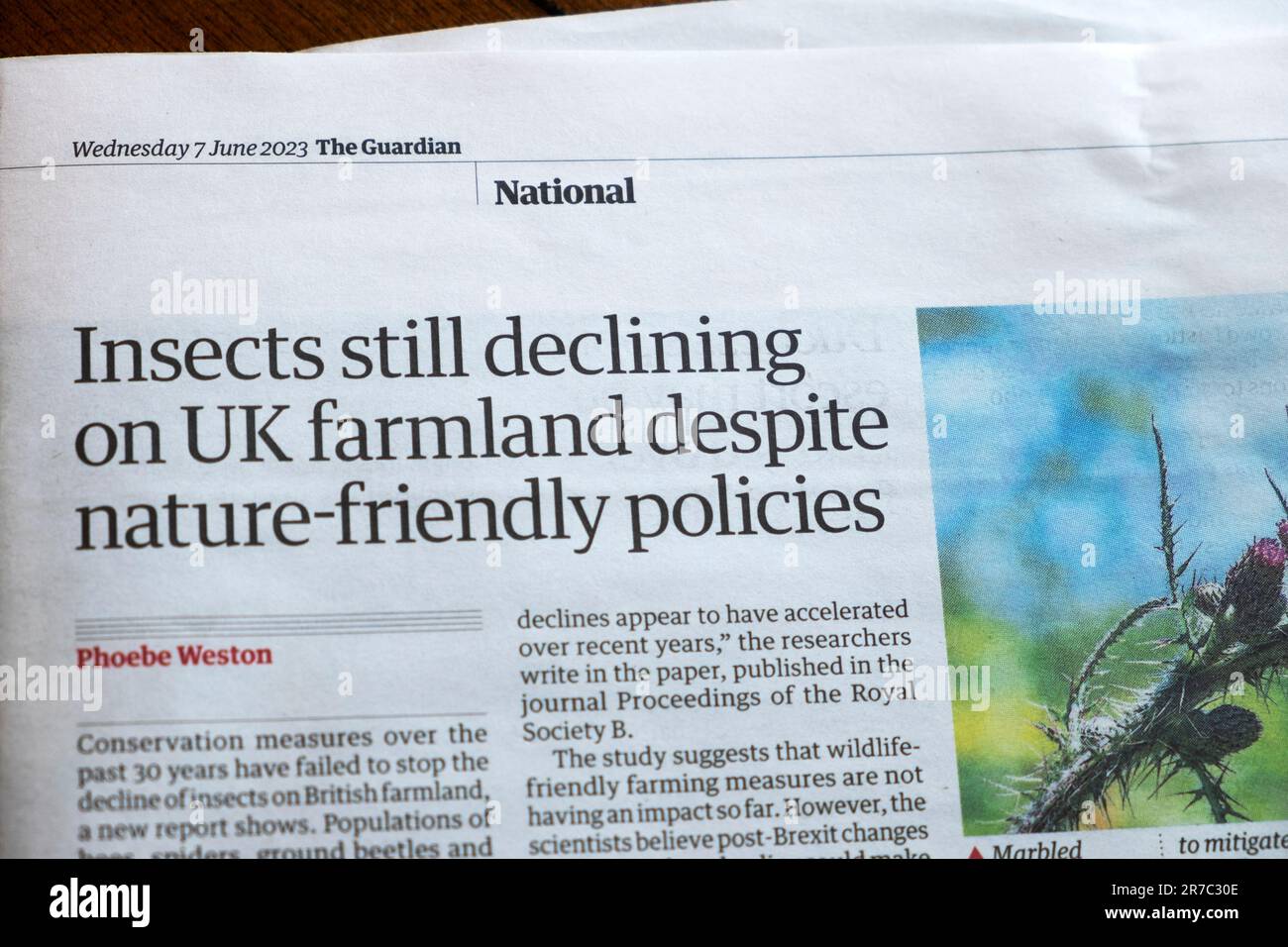 'Insects still declining on UK farmland despite nature-friendly ...