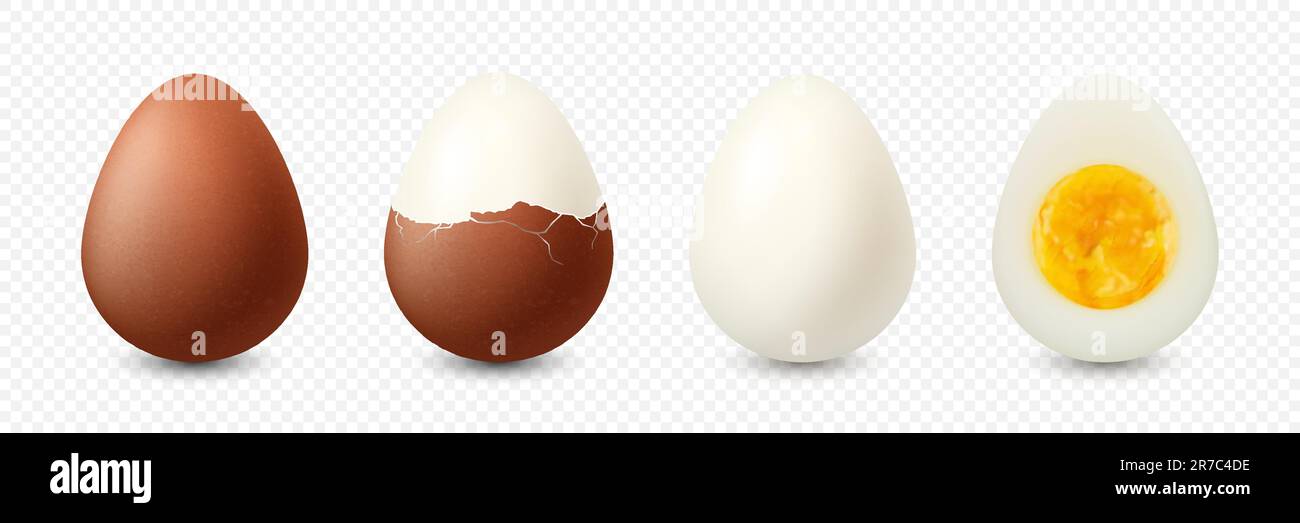 Vector 3d Realistic Brown Chicken Eggs. Textured Whole, Cracked Broken, Peeled Boiled Chicken ...