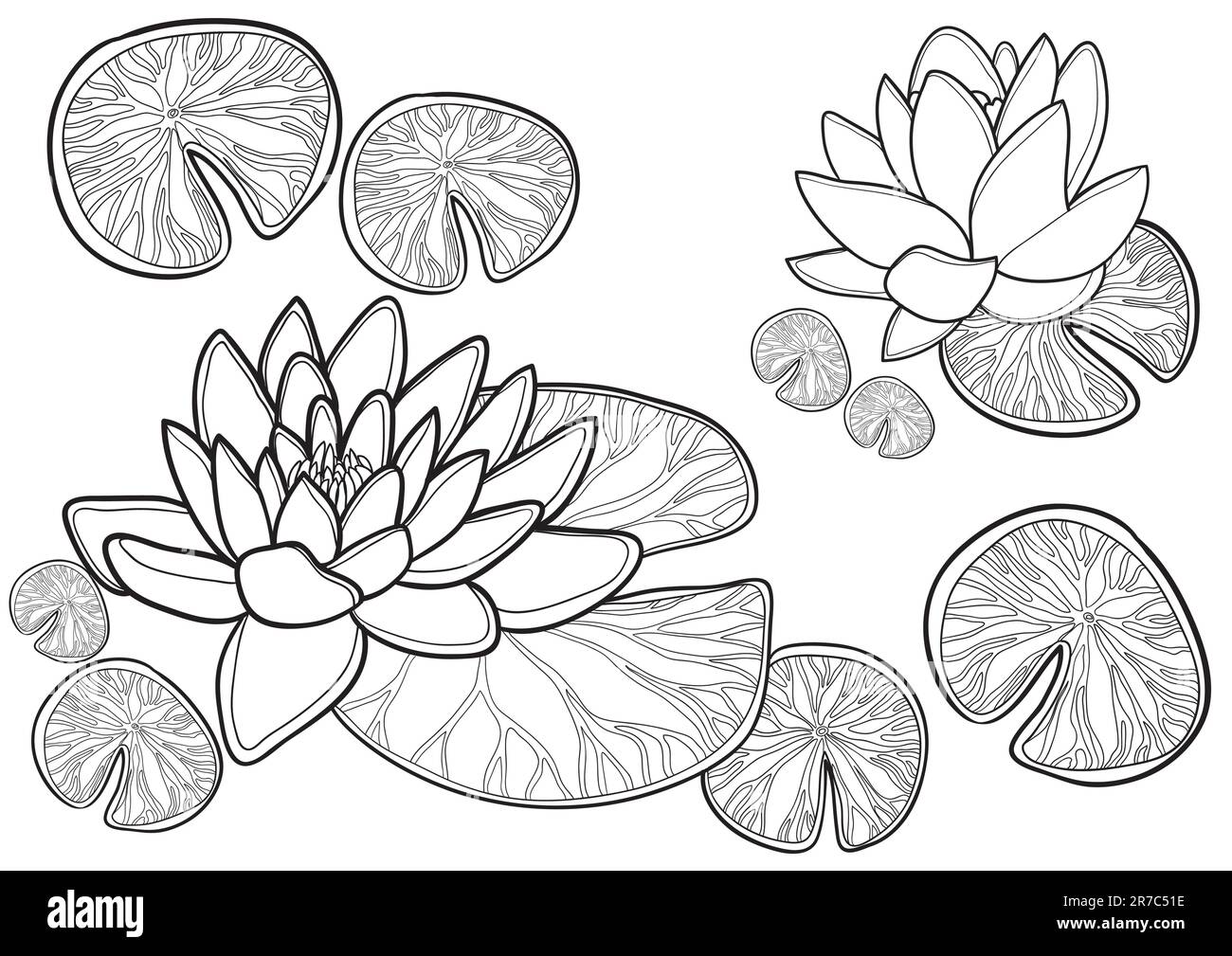 Gentle floral design Stock Vector Images - Alamy