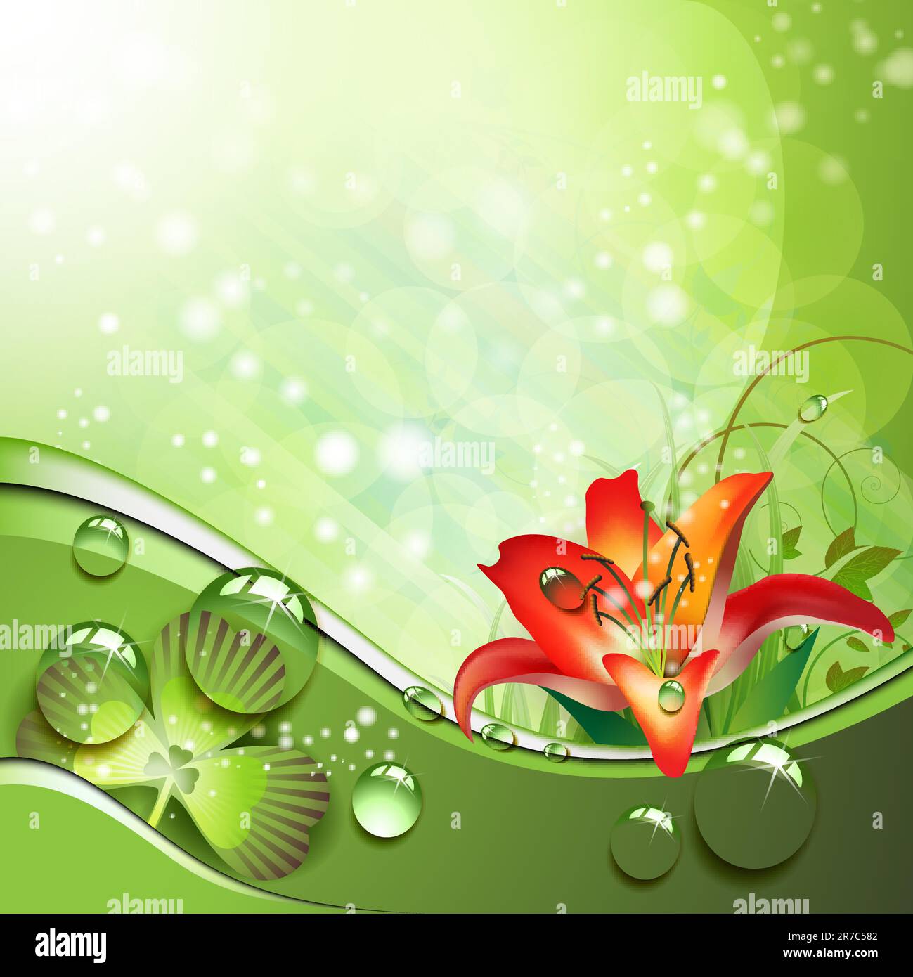Lily and clover with drops of water over abstract green background ...