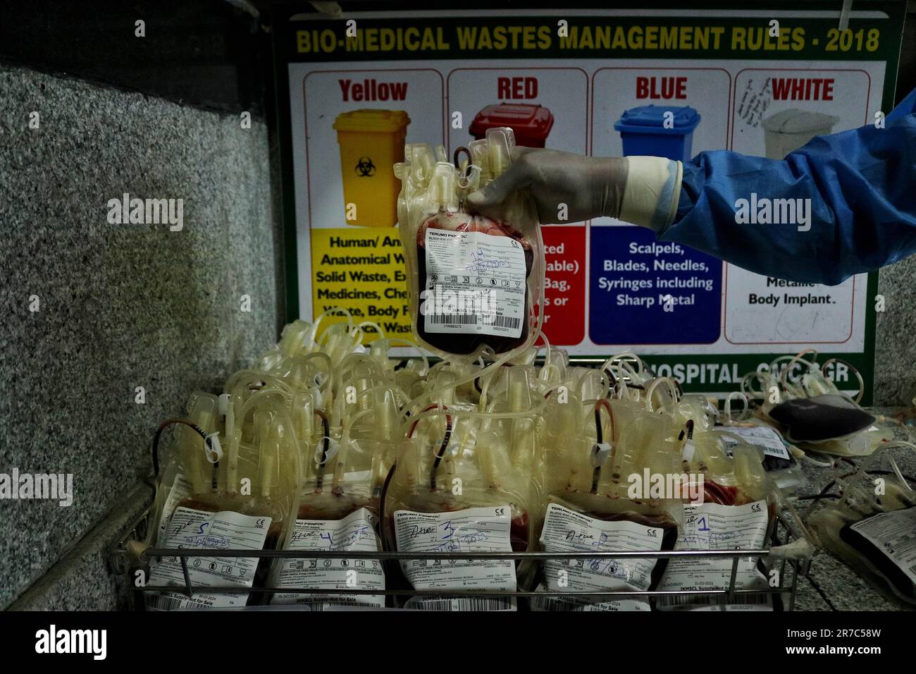 Srinagar, India. 14th June, 2023. June 14, 2023, Srinagar Kashmir ...