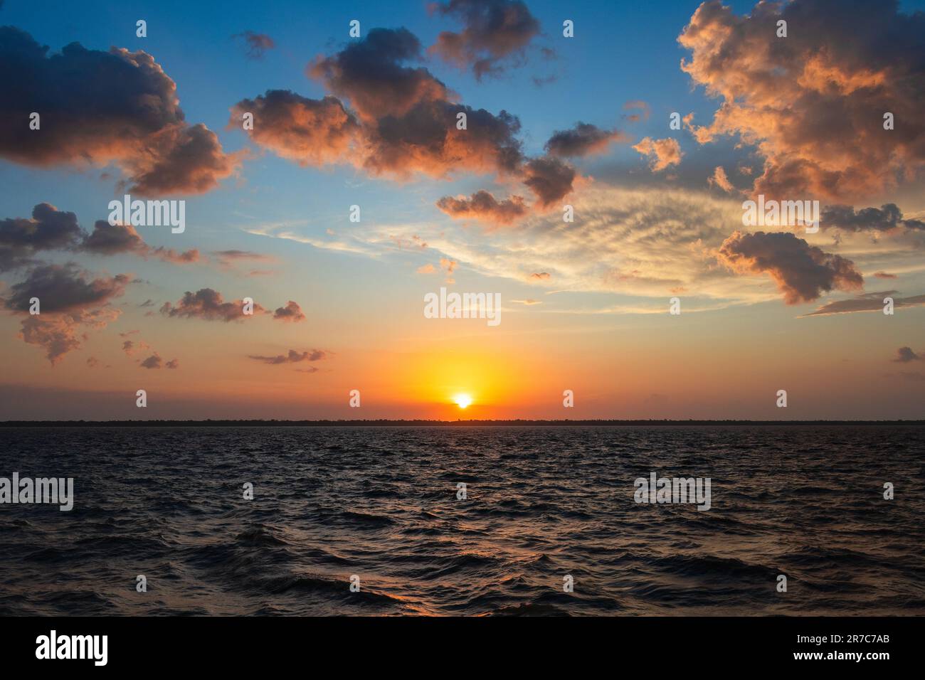 Amazonia landscape hi-res stock photography and images - Alamy