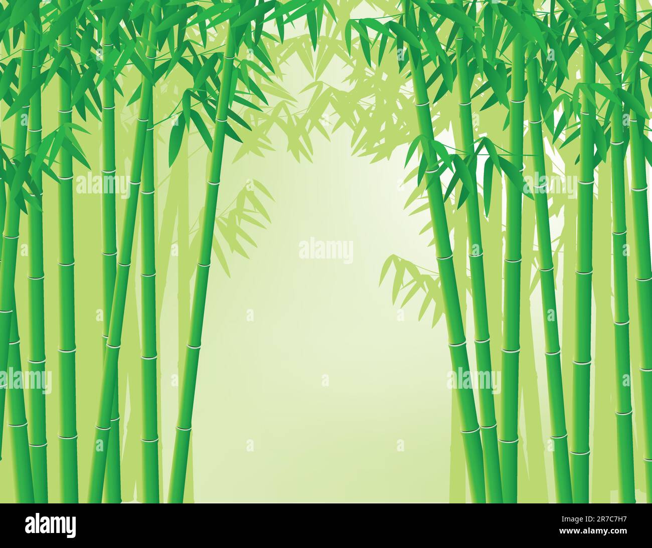 Lush green rainforest foliage Stock Vector Images - Alamy