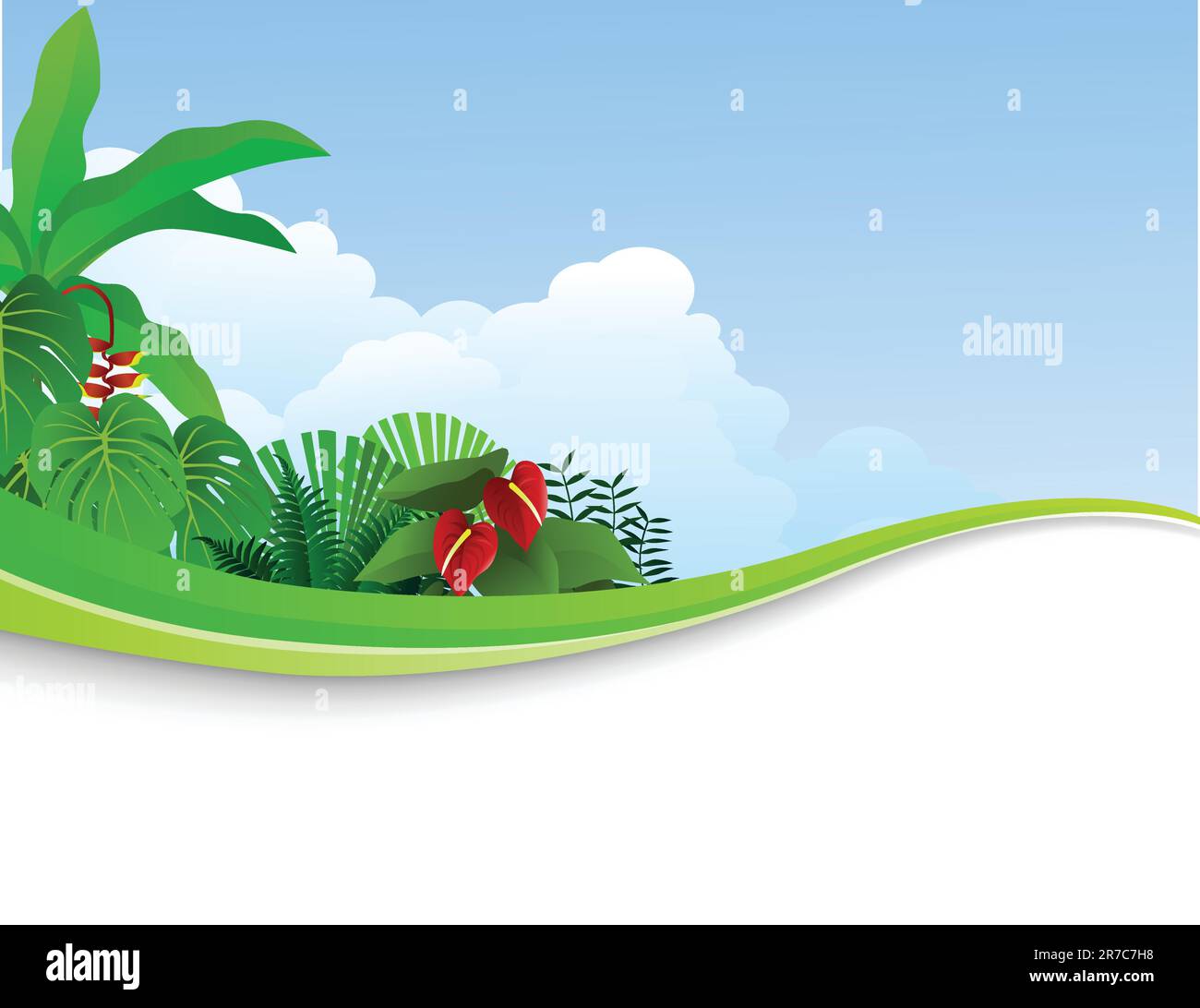 Tropical Forest Background Stock Vector Image And Art Alamy