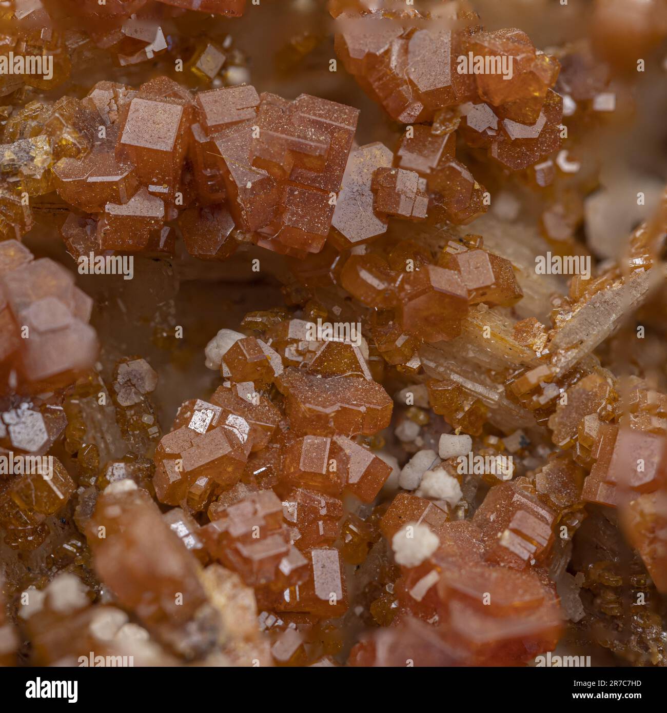 Small crystals of vanadinite, a collectible mineral Stock Photo - Alamy