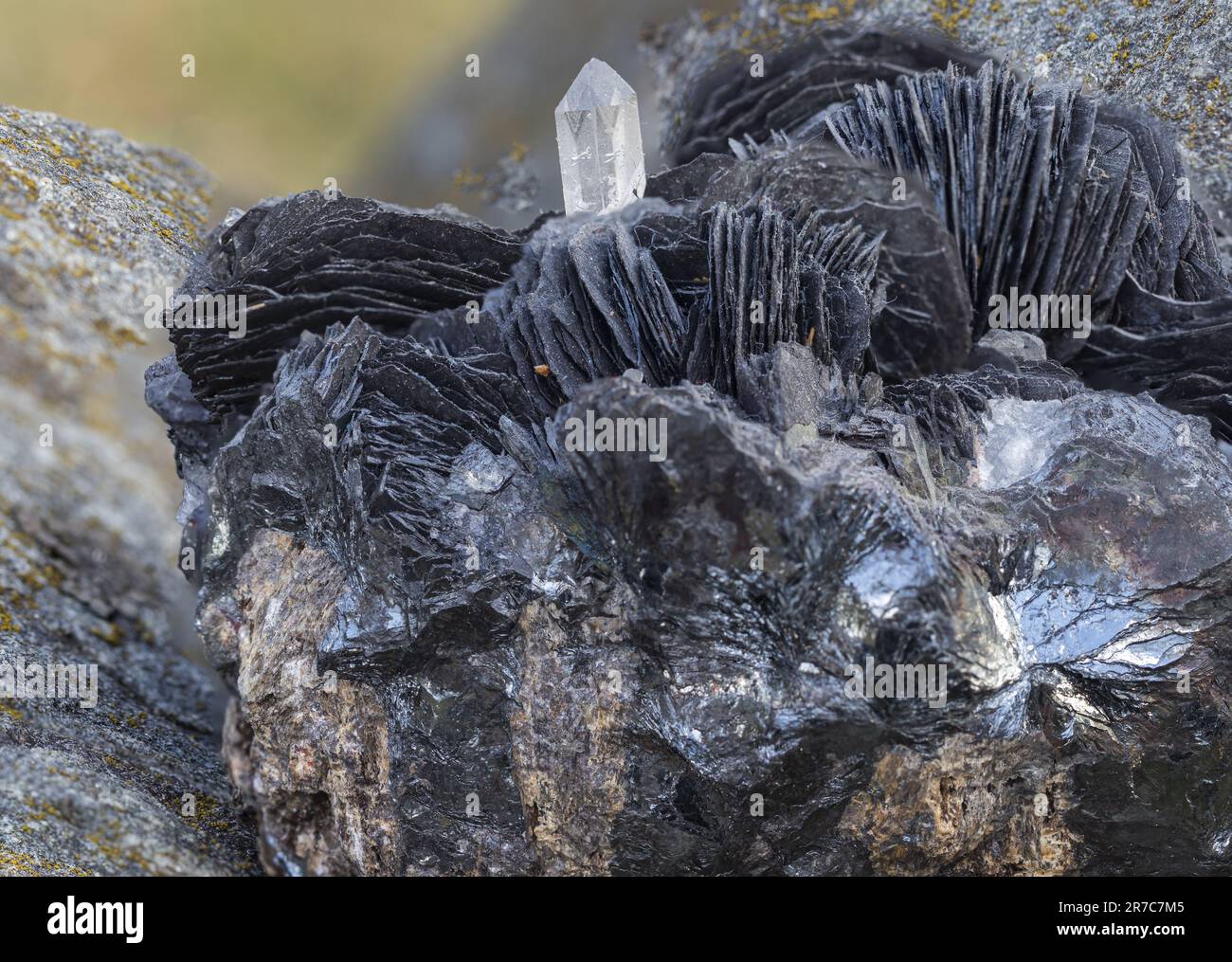 Crystal barite pyrite hi-res stock photography and images - Alamy