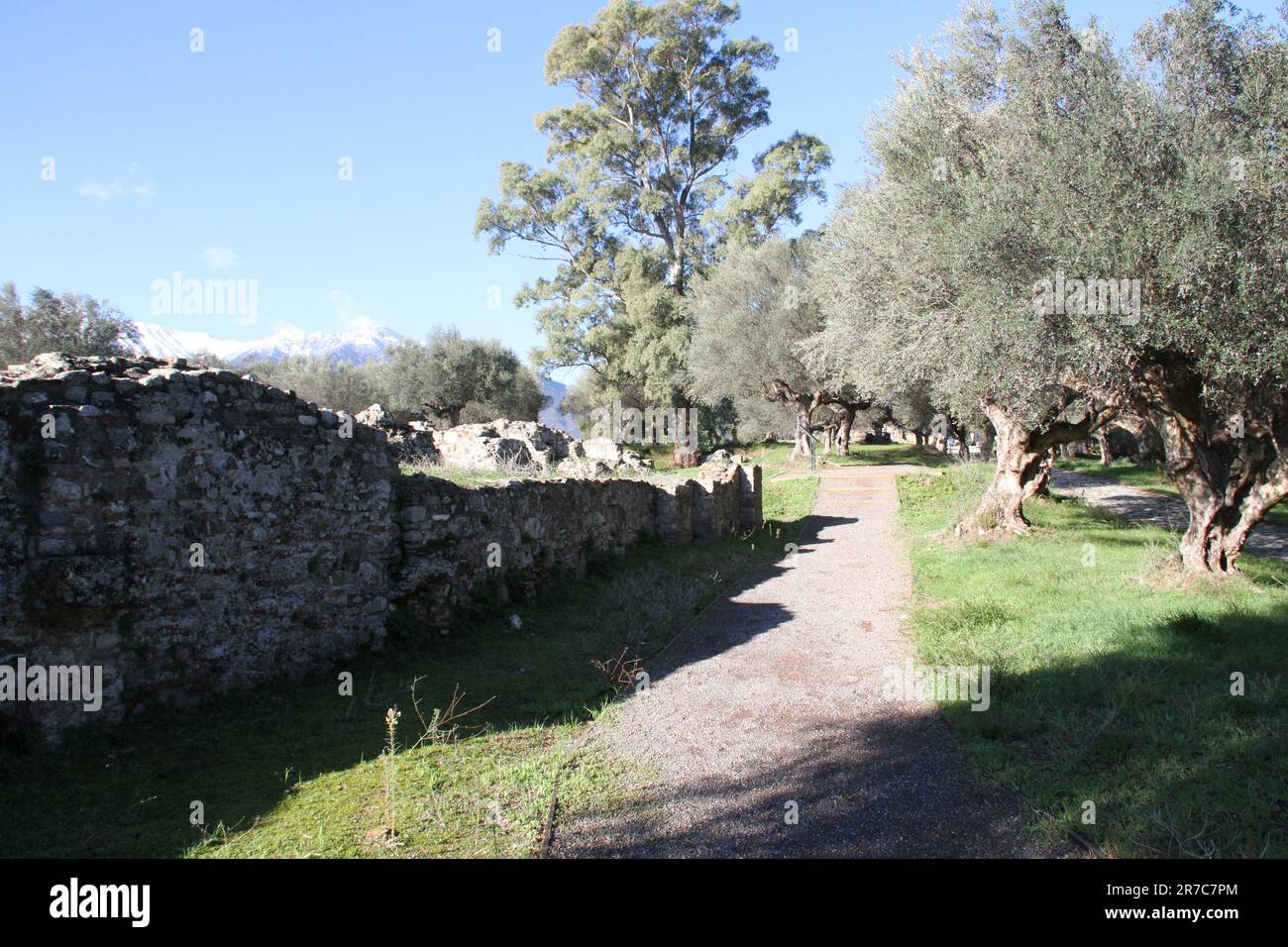 Ruins of Ancient Sparta in Greece Stock Photo - Alamy