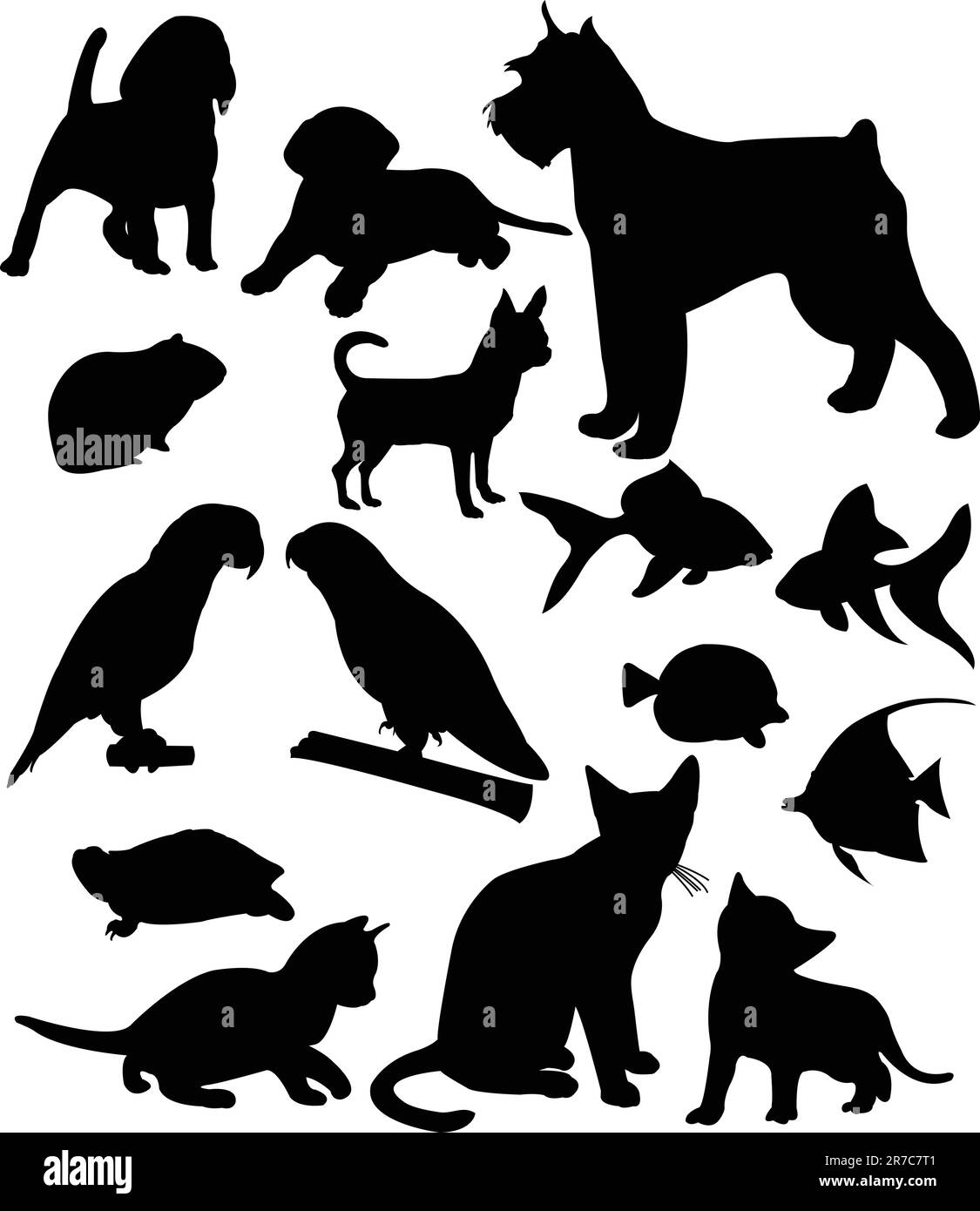 Pet silhouettes collection - vector Stock Vector Image & Art - Alamy