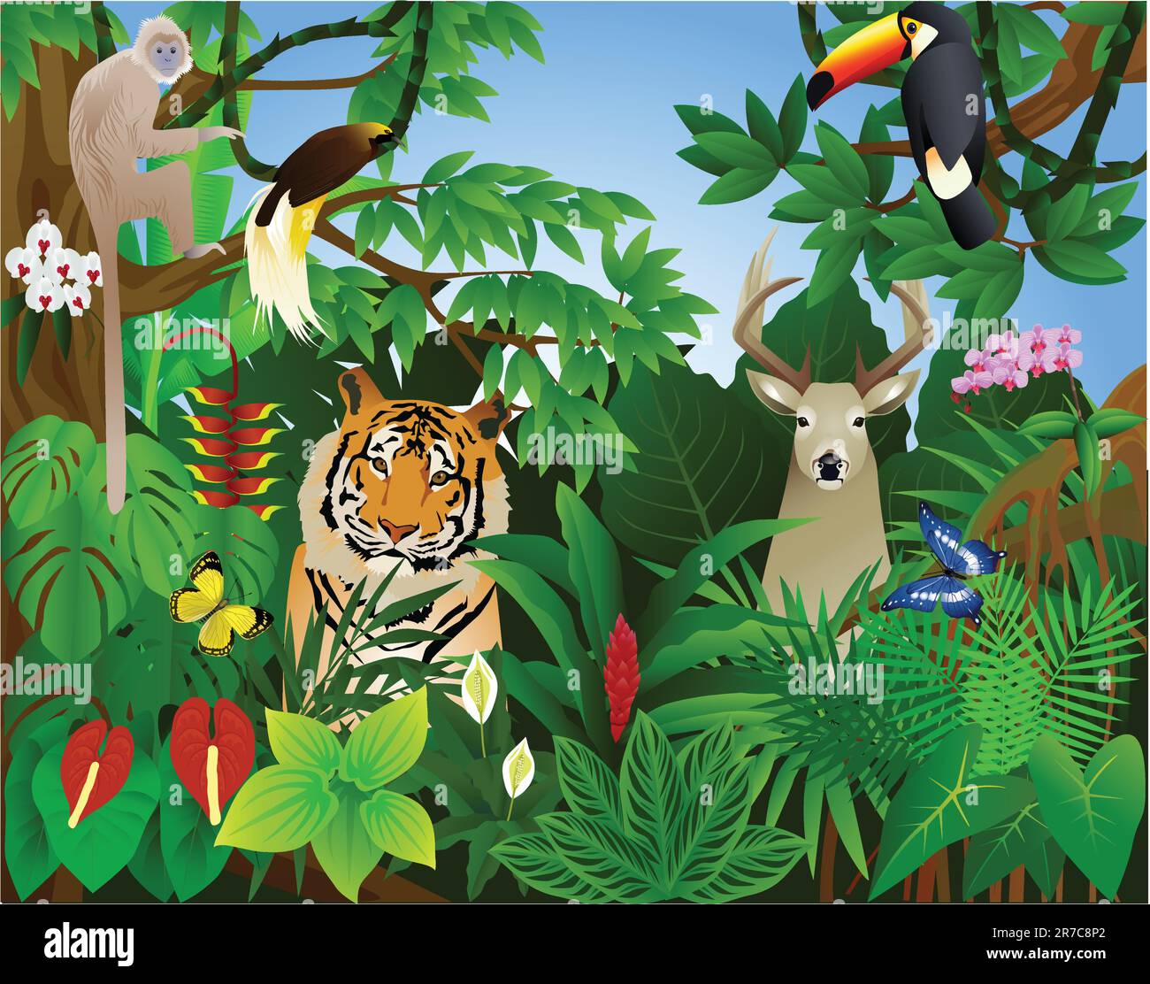 Beautiful tropical rainforest in Stock Vector Images - Alamy