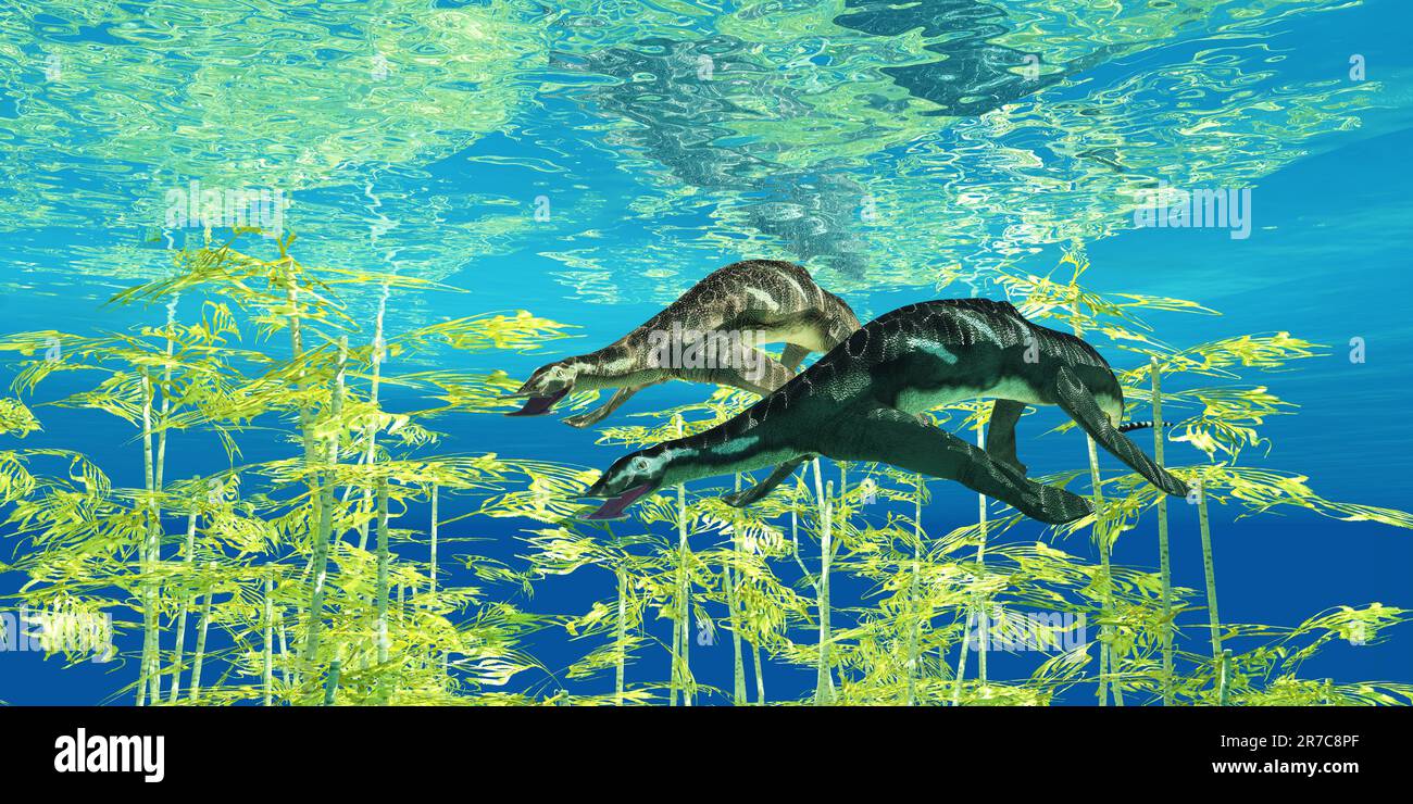 Atopodentatus was a herbivorous aquatic reptile that lived in the seas ...