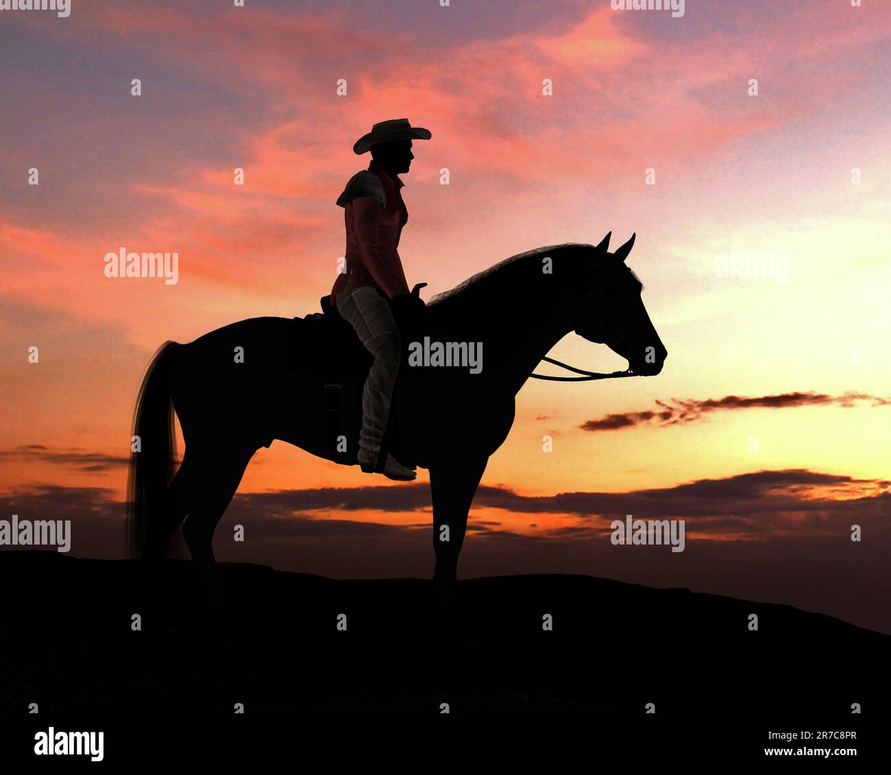 Cowboy Ethan Silhouette - A cowboy and his Quarter horse stand on a ...