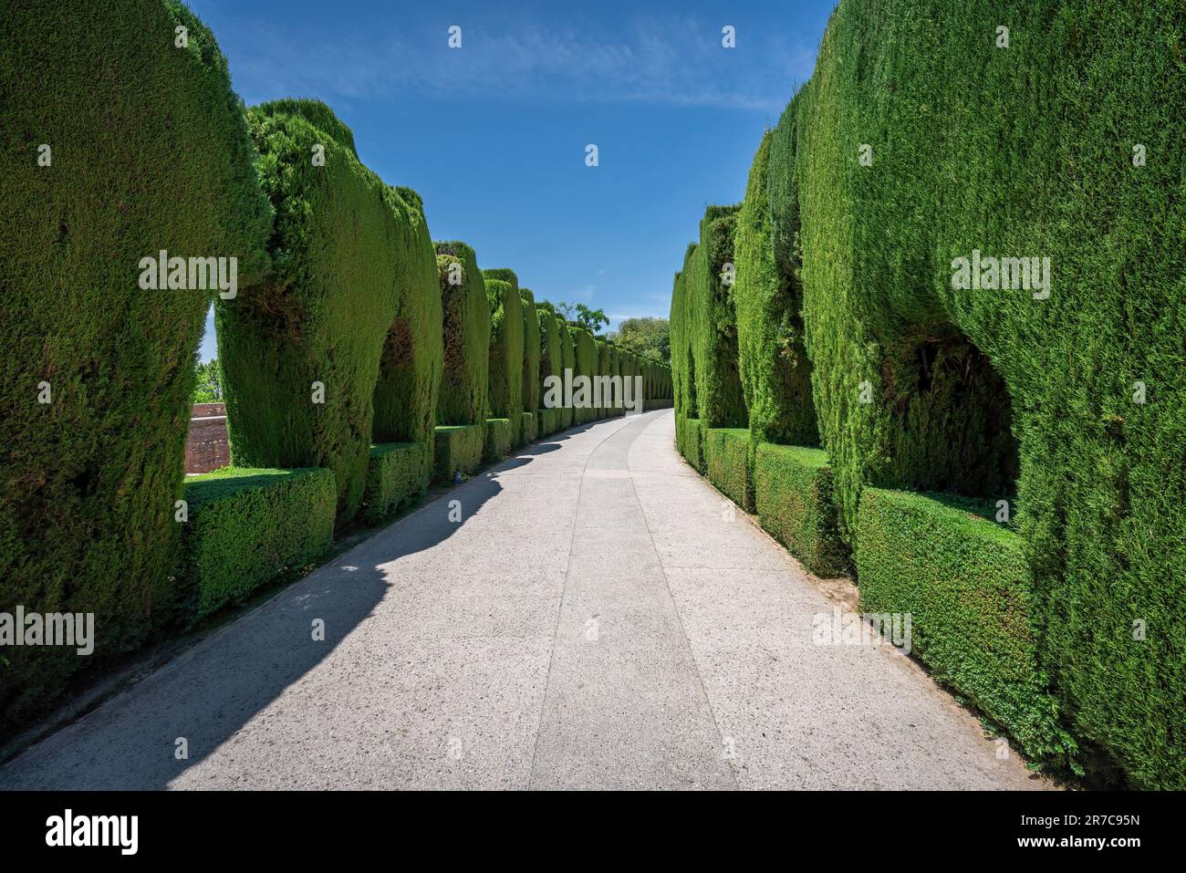 Green Corridor of San Francisco Gardens at Alhambra - Granada ...